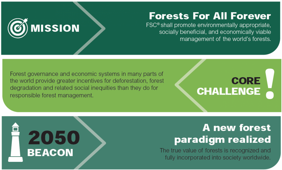 Strategic Plan.jpg | Welcome To The FSC Members’ Portal