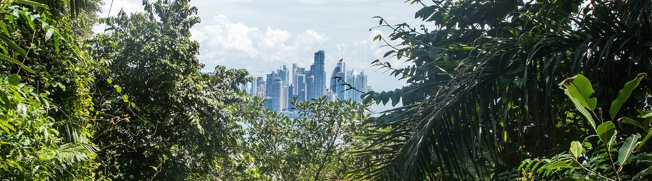 panama-Banner.jpg | Welcome To The FSC Members’ Portal