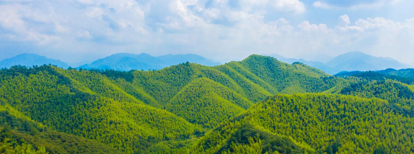 Newsfeed | Welcome To The FSC Members’ Portal